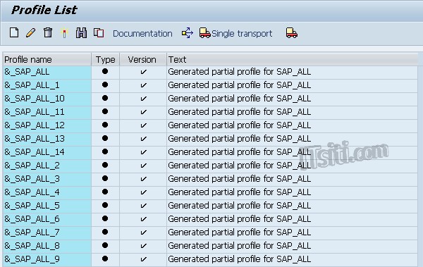 SU02: Maintain SAP Authorization Profiles